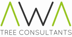 Tree Surveys & Reports - Clee Tree Services
